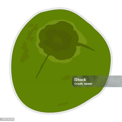 여름 낙서 스티커 레이블 로고 태그 휴일 여행 및 휴가 표지판 장식을 위해 코코넛 스타일을 분리하십시오 고래에 대한 스톡 벡터 아트 및 기타 이미지 Istock