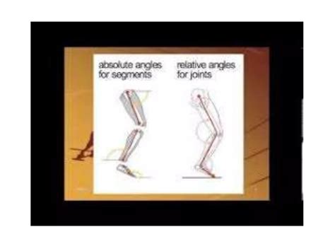 Angular Kinematics Of Human Movement Pptx