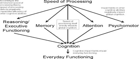 Speed Of Processing In Older Adults A Cognitive Overview Fo