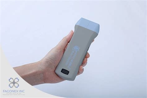 Finding Out Baby S Sex With An Ultrasound Fagonex
