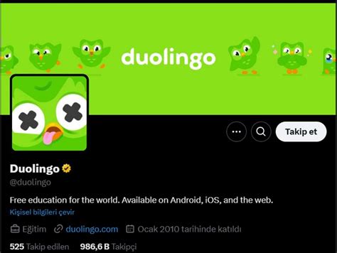 Duolingonun Baykuşu Duo öldü Euronews