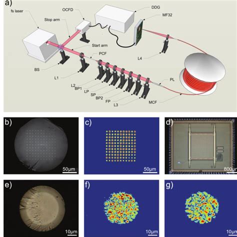 pdf multiplexed single mode wavelength to time mapping of multimode light
