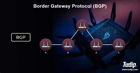 Border Gateway Protocol Bgp