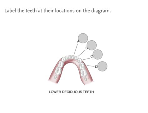 Heent M Health Assessment Lessons Flashcards Quizlet