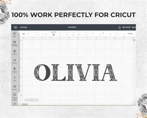 Modern Decorative Olivia Font Font Kong