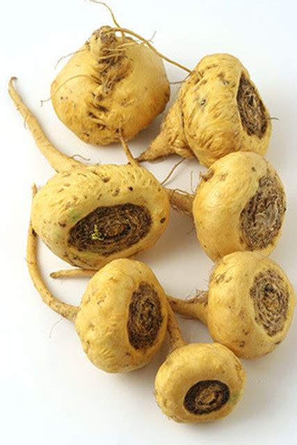 Aphrodisiac Herbs And Spices What To Eat For Better Sex