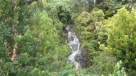 Calming Waterfall Sounds 11 Hours Of Relaxtion Youtube