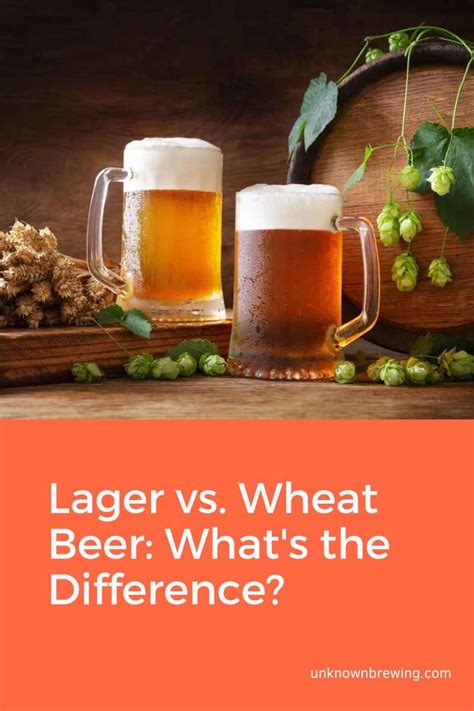 Lager Vs Wheat Beer What S The Difference