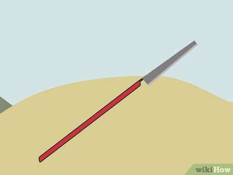 3 Ways To Prune Shrubs WikiHow Life