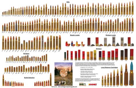 Different Types Of Ammunition