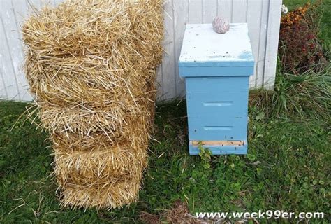 Preparing Bee Hives For Winter Homesteading Hive