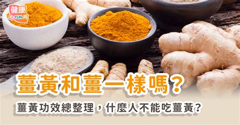 薑黃和薑一樣嗎？薑黃功效總整理，什麼人不能吃薑黃？ 健康心fun向