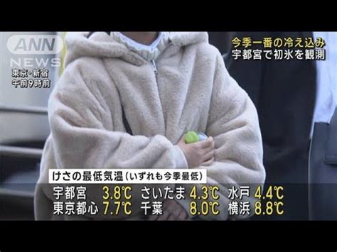 東京でけあらし 宇都宮は初氷 今季一番の冷え込み 2022年11月17日 気ままにニュース速報