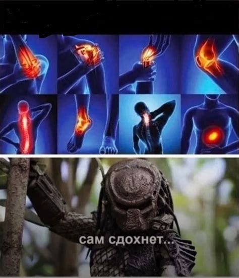 Create Meme Predator Meme What Does A Predator See After 15 Seconds