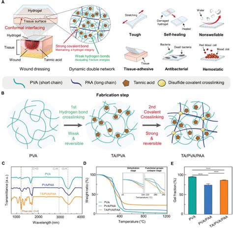 국가나노기술정책센터 연세대 한양대 공동 연구팀 안정적 생체조직 부착 지혈 패치 개발 국내