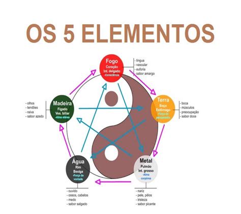 Teoria Dos 5 Elementos Braincp