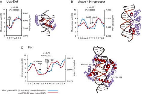 Figure 1 From Experimental Maps Of DNA Structure At Nucleotide