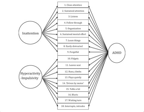 Bifactor Model Of Adhd Download Scientific Diagram