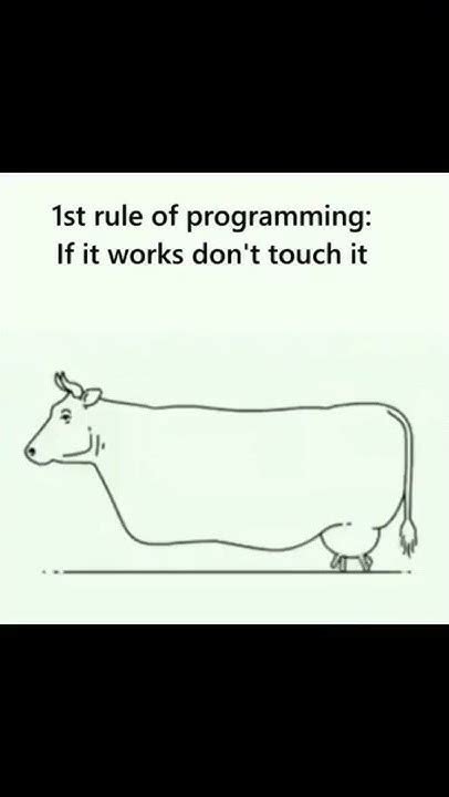 1st Rule Of Programming If It Works Dont Touch It Funny Meme