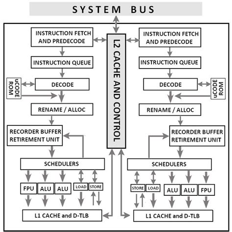 Shows Block Diagrams For The Core 2 Duo And Athlon 64 X2 Respectively Download Scientific