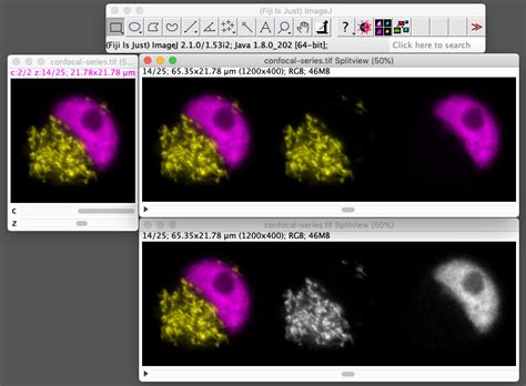 New Visualization Toolset Announcements Imagesc Forum