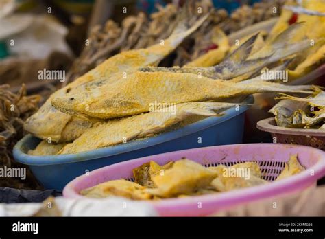 Dried And Salted Hilsa Fish Being Sold In The Fish Markets Of