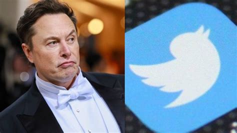 Que Siempre No Elon Musk Cancela La Compra De Twitter