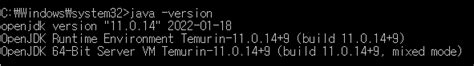 에러 error 톰캣 tomcat 지정된 서비스가 설치된 서비스로는 없습니다 및 jvm dll 권한 문제 dev