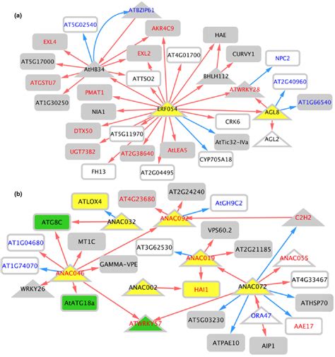 Select Steady‐state Tf‐target Subnetworks A Predicted Targets Of