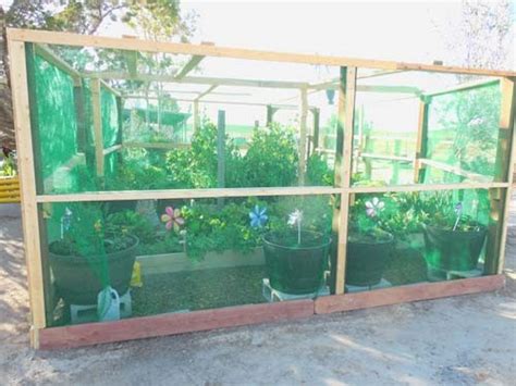 Bird Netting And Bird Netting Frames