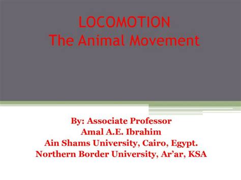 PDF Locomotion