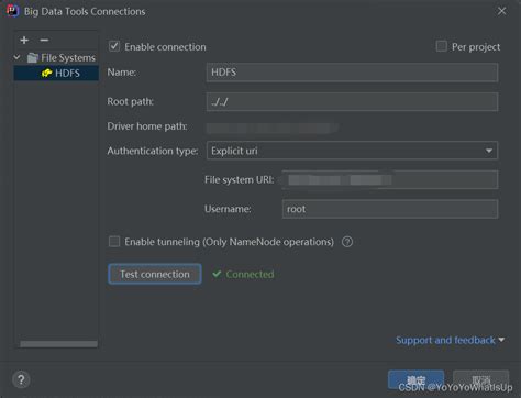 Idea的big Data Tool 连接不上hdfs所有问题汇总：使用big Data Tools连接hdfs遇到的问题 Csdn博客