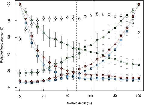 The Spatial Distribution Of Chlorophyll In Leaves Plantae