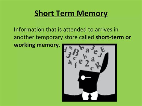 1 atkinson shiffrin model of memory ppt