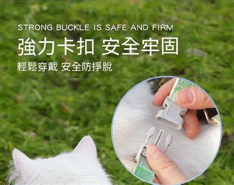 貓咪牽引 防掙脫 遛貓繩 貓咪專用工字型胸背帶 牽引繩 可調節 H型胸背 胸背繩 項圈 背帶 胸背衣 牽繩 溜貓繩 外出 蝦皮購物