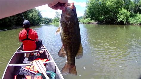 Whopper Plopper To The Head River Fishing For Big Smallmouth Youtube