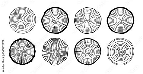 Tree Ring Wood Circle Set Hand Drawn Tree Ring Pattern Line Ripple Circle Wood Texture Wood