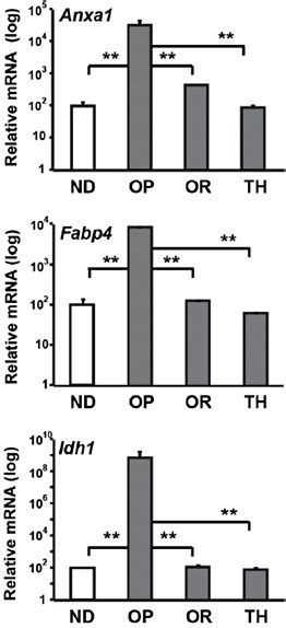 Validation Of Proteomic Data And Predicted Targets Generated By Ipa Download Scientific Diagram