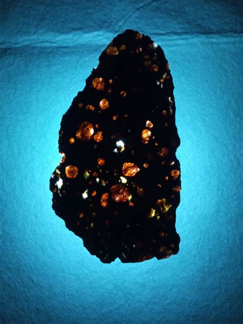 석탄질 콘드라이트 박편과 섹션1cv3 석질 운석 철 · 석철운석 화성운석 박물관