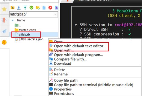 GitLab怎么修改项目名称 GitLab数据放到哪个目录下 GitLab中文网站