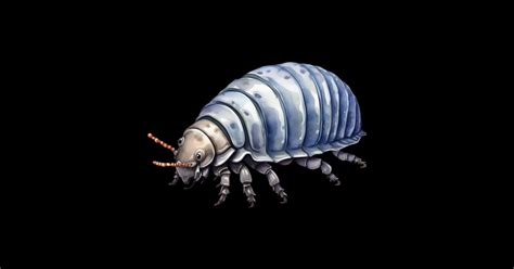 Drawing Of An Isopod In A Minimalist Style Isopod Sticker Teepublic