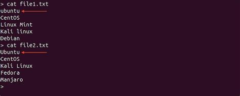 Unix Diff Command