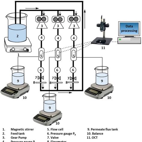 Schematics Describing The Lab Scale Setup And The Various Instruments