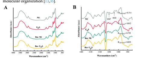 Ftir A And Atr Ftir B Spectra Of Different Starch Samples 362 Download Scientific