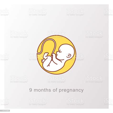 자궁에 있는 아기 임신과 내 의 어머니와 아기의 건강 0명에 대한 스톡 벡터 아트 및 기타 이미지 0명 3d 스캔 3차원