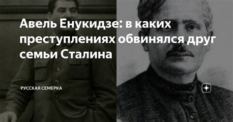 Авель Енукидзе в каких преступлениях обвинялся друг семьи Сталина