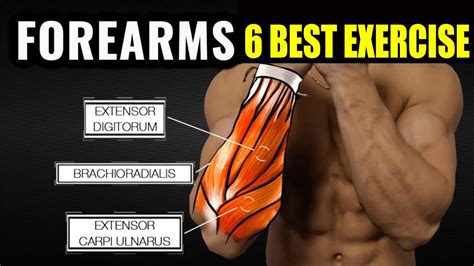 Dumbbell Workout For Forearms Forearms Workout With Dumbbells In Hindi Fitness Fighters