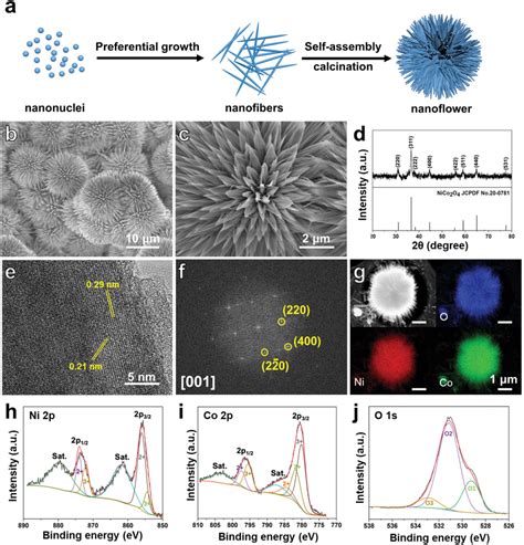 Synthesis And Characterization Of Nico2o4 Nanozyme A Illustration Of