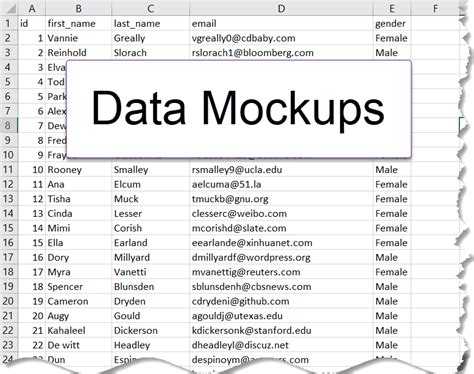 Data Mockups Data Science Review