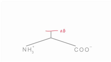 Memorize The 20 Amino Acids In 20 Minutes Part 1 Youtube